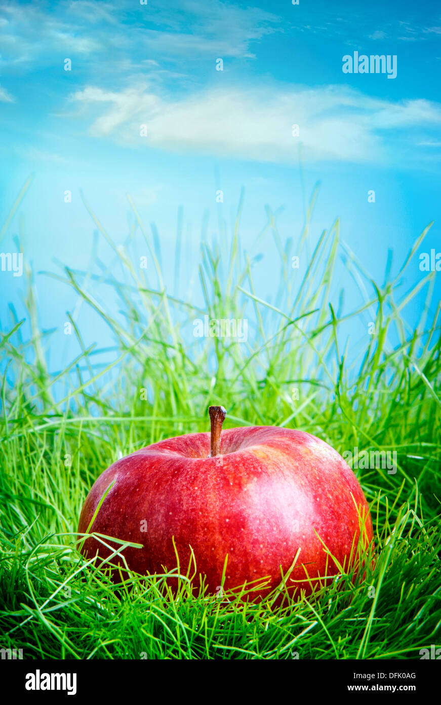 Red apple on the green grass Stock Photo - Alamy