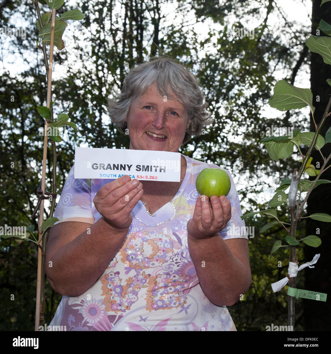 Bowland Fell, Preston, UK 6th October, 2013. Mrs Jane Syms from ...