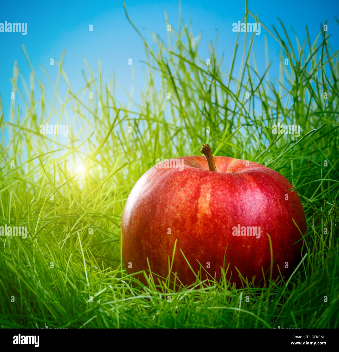 Red apple on the green grass Stock Photo - Alamy