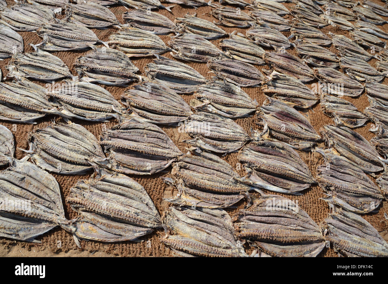 Fish flavor hi-res stock photography and images - Alamy