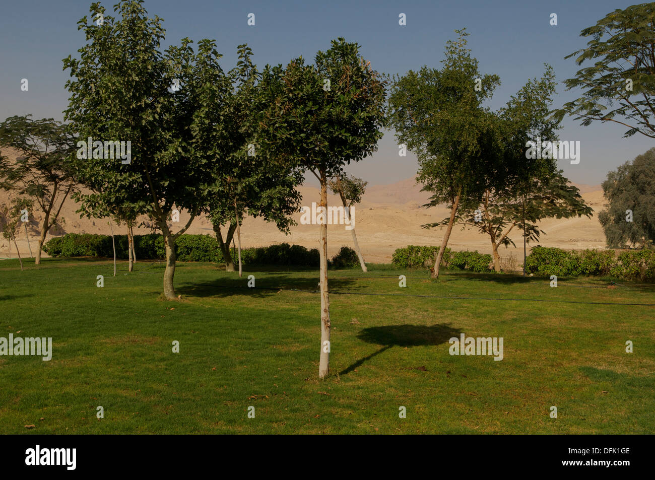 Archeology and dig and egypt hi-res stock photography and images - Alamy