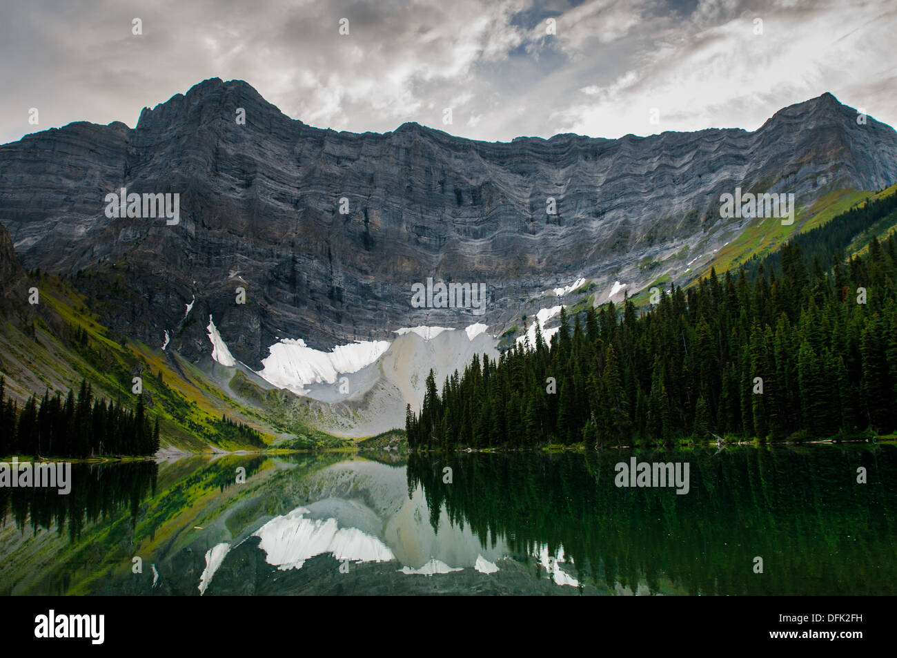 Alberta grasslands wildflowers hi-res stock photography and images - Alamy