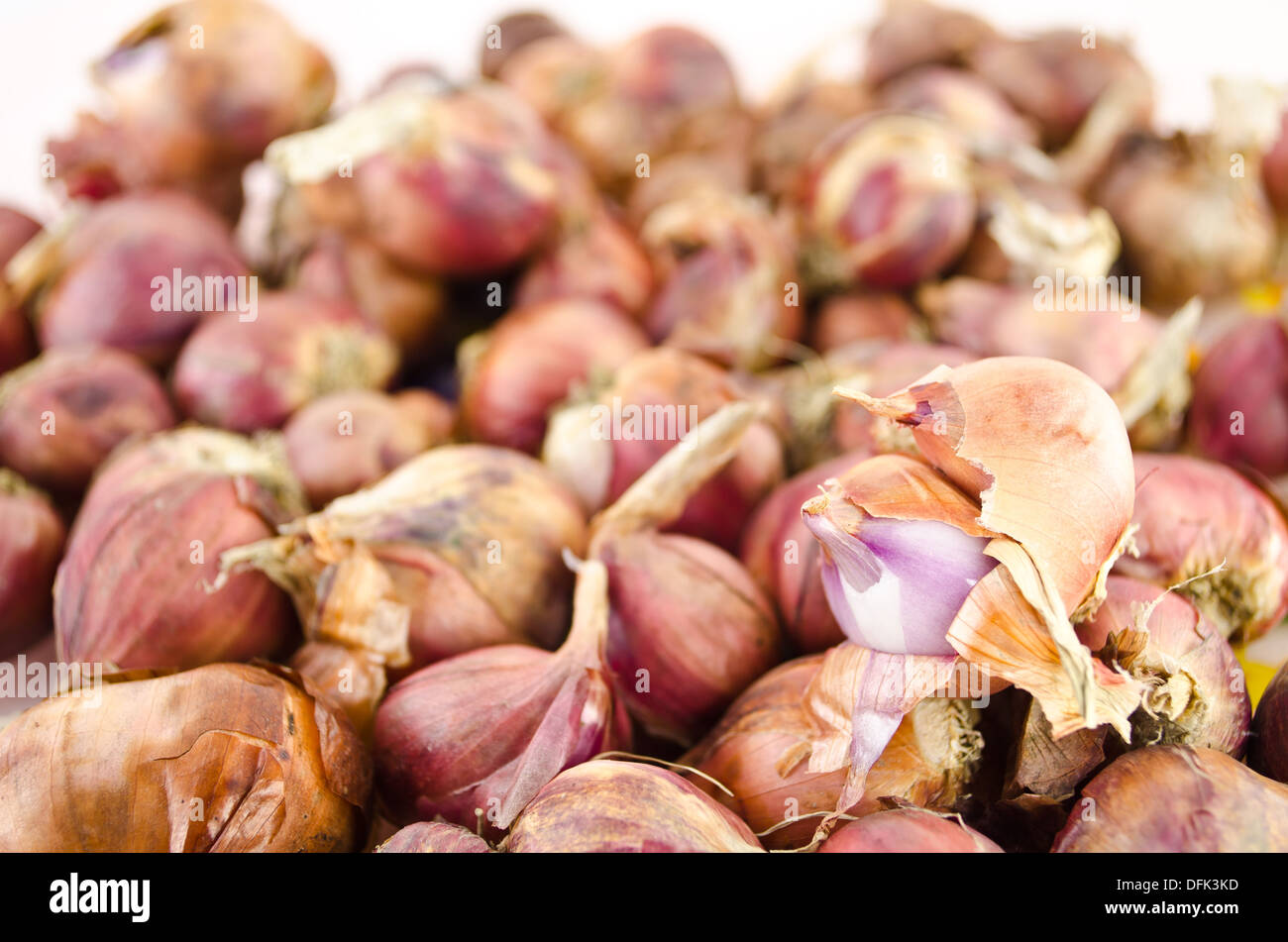 shallot is ingredient of alot of thai food and catchup Stock Photo - Alamy