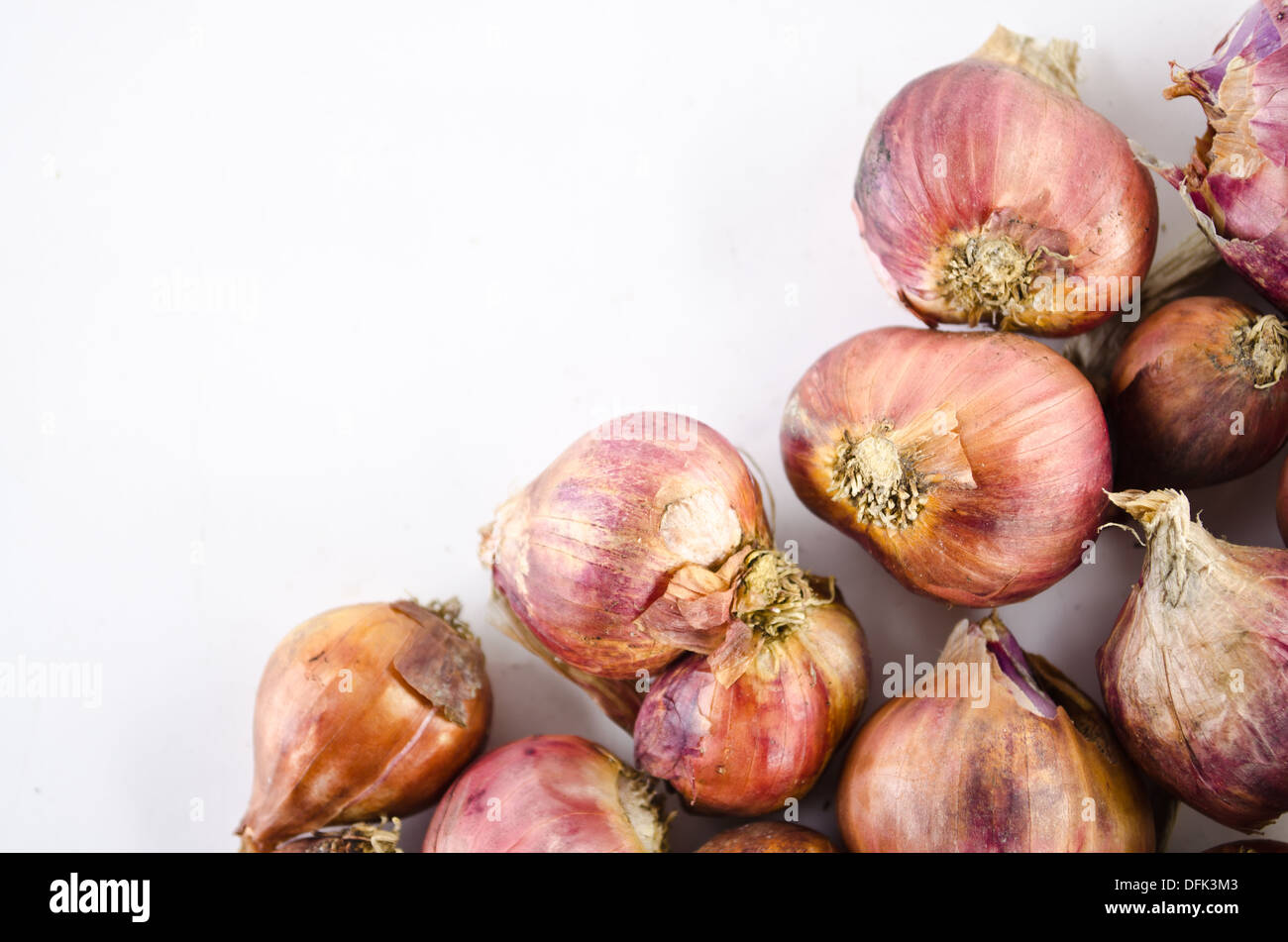 Round shallot hi-res stock photography and images - Alamy