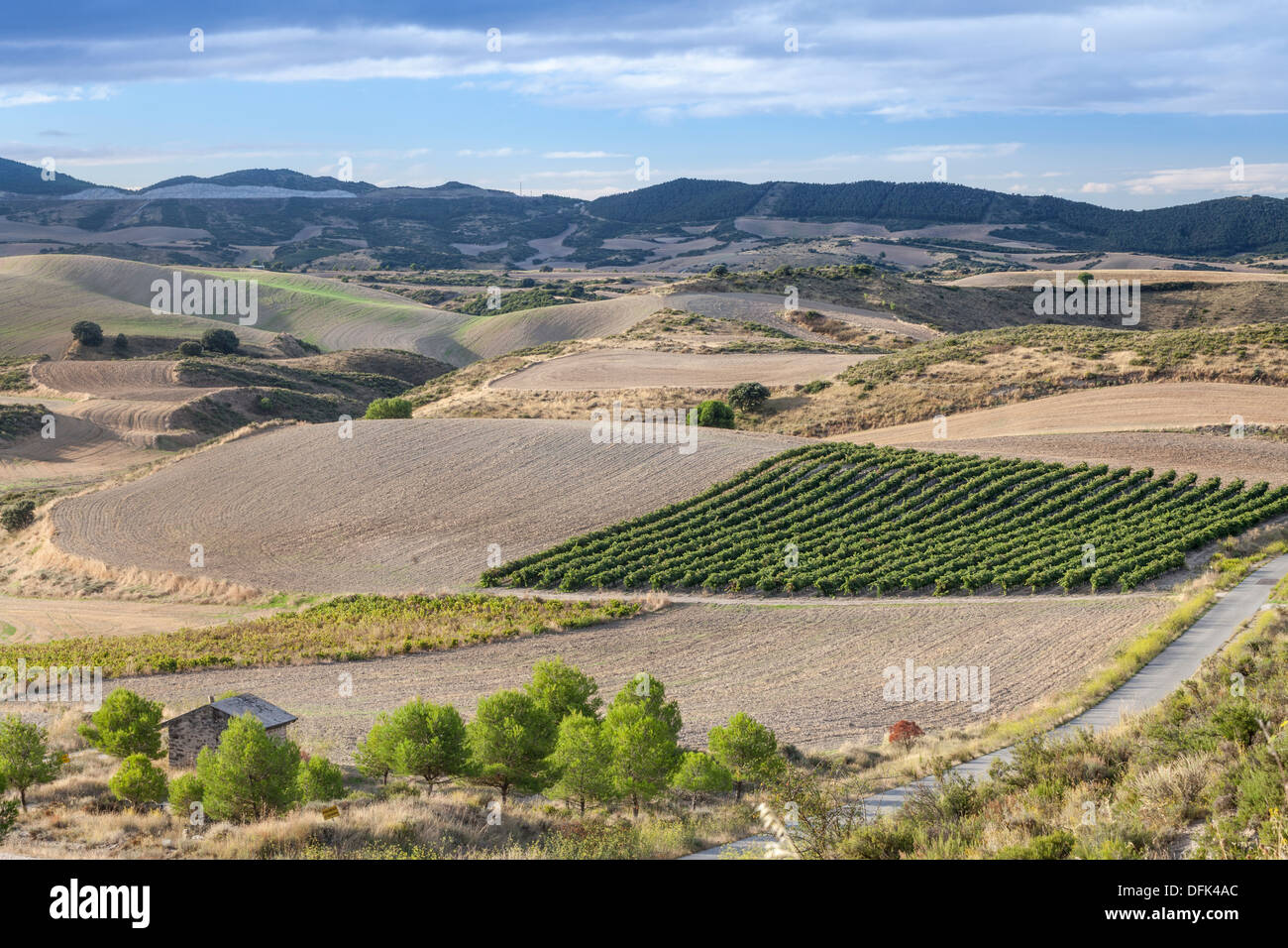 Crops near Obanos, Navarra, Spain Stock Photo - Alamy