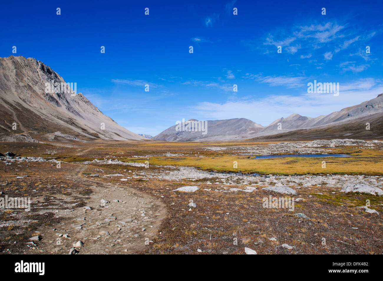 Wilcox Pass High Resolution Stock Photography and Images - Alamy