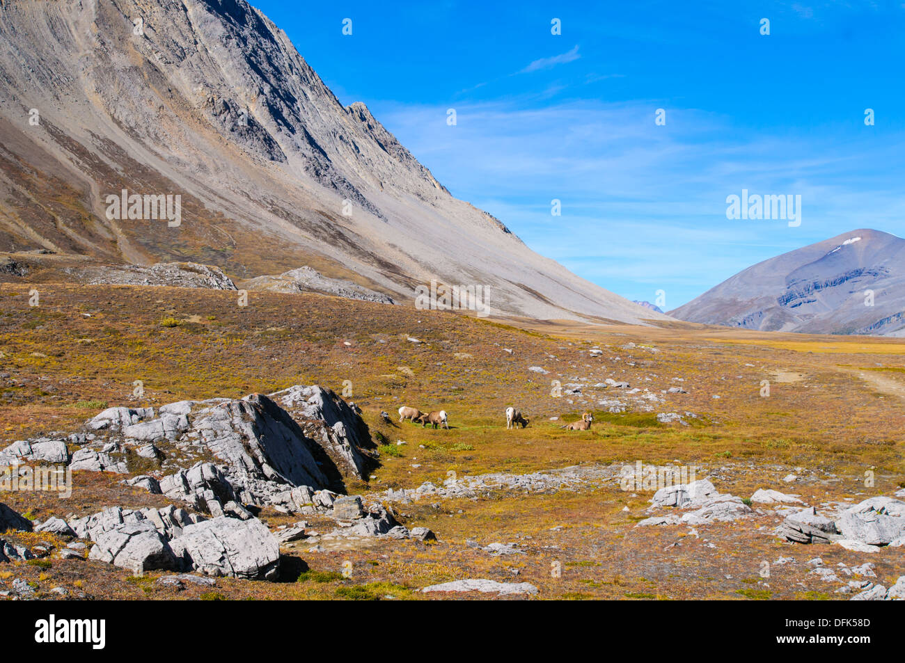Wilcox pass hi-res stock photography and images - Alamy