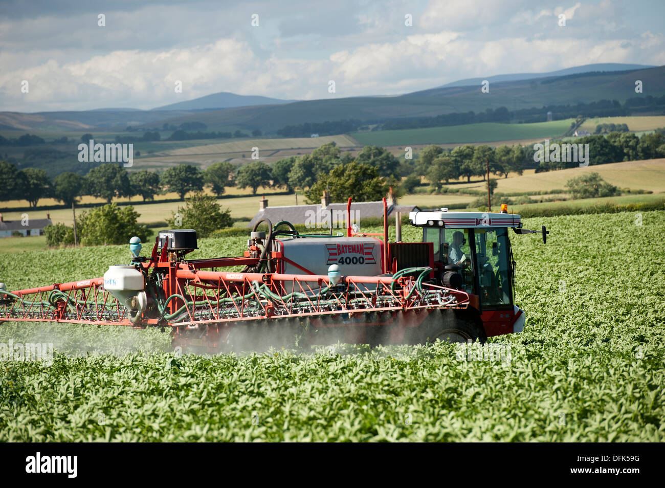 Potoato hi-res stock photography and images - Alamy