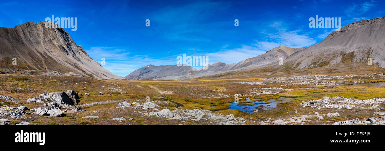 Wilcox park hi-res stock photography and images - Alamy