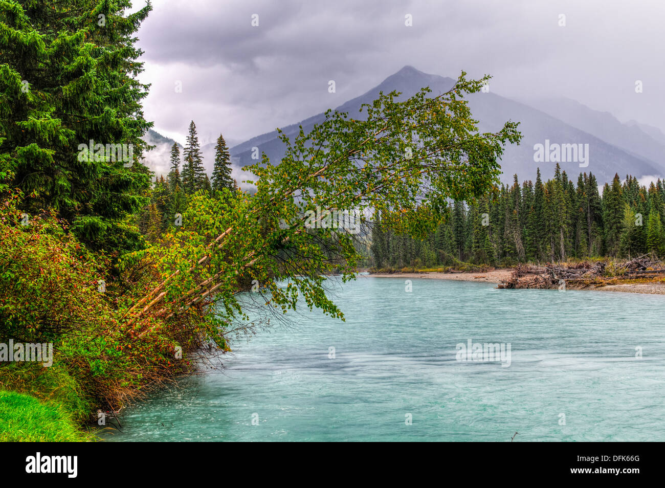 Fraser River in Fall Stock Photo - Alamy