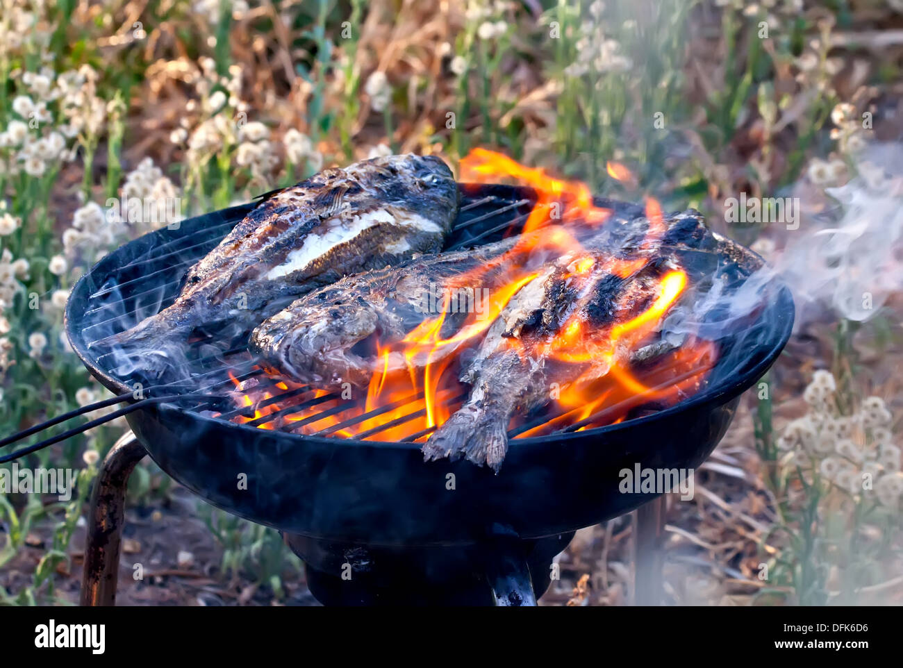 Sea Bream Fish Grilled Stock Photo - Alamy