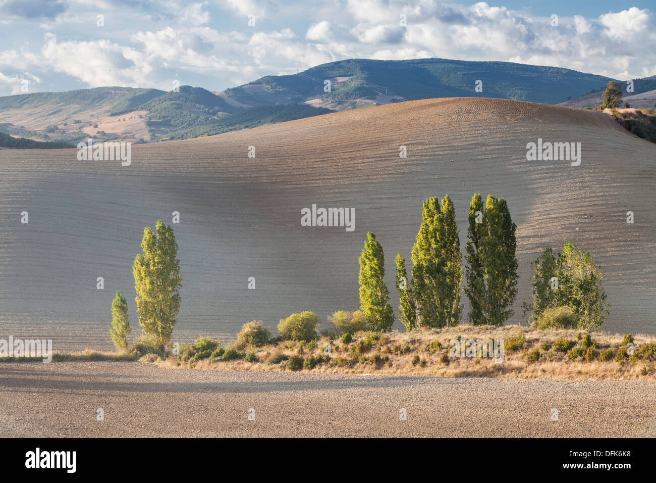Dry farmed crops hi-res stock photography and images - Alamy