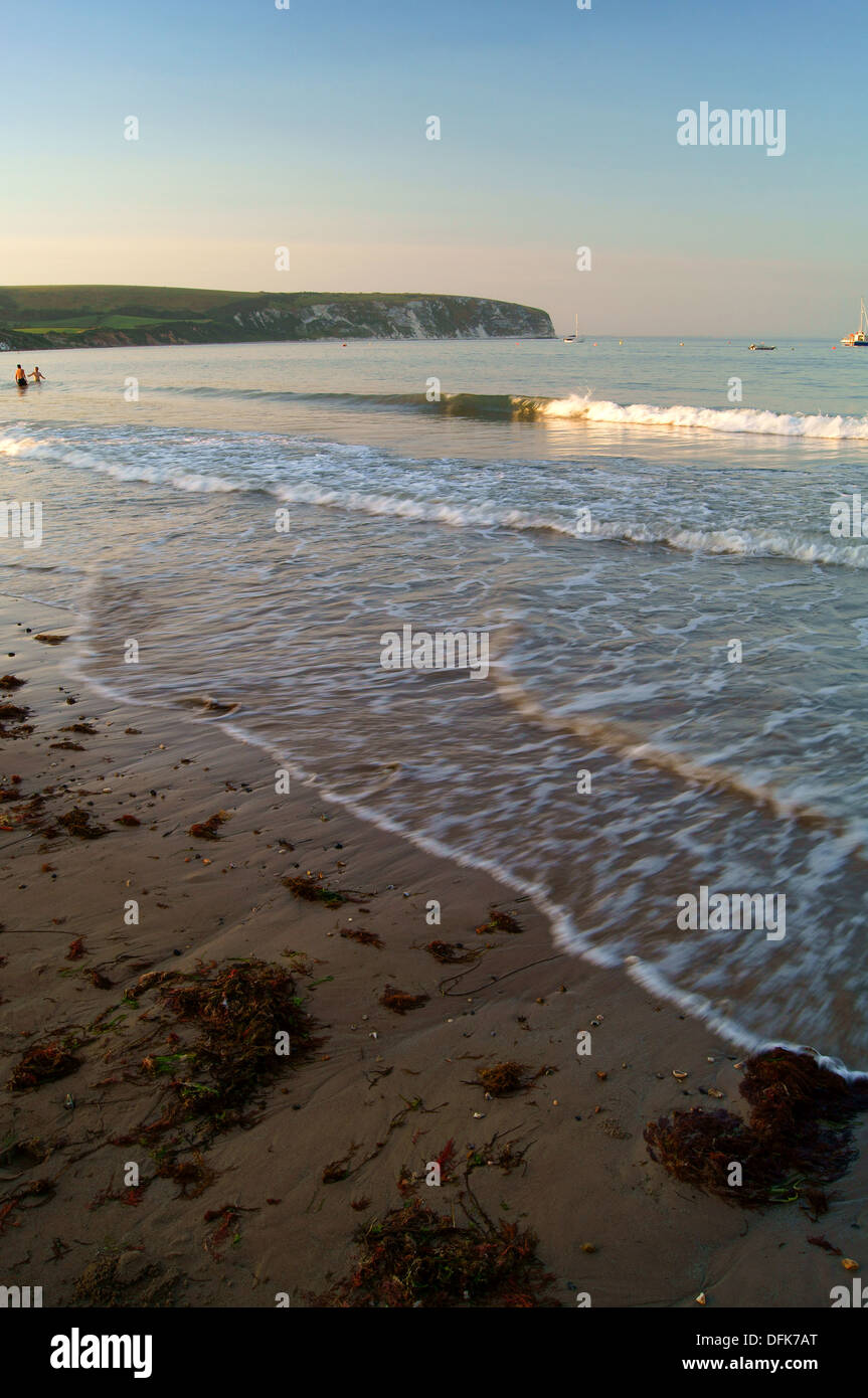 Jurassic dorset purbeck hi-res stock photography and images - Alamy