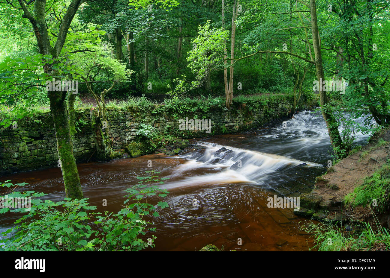 UK,South Yorkshire,Sheffield,Rivelin Valley,River Rivelin,Roscoe Weir ...
