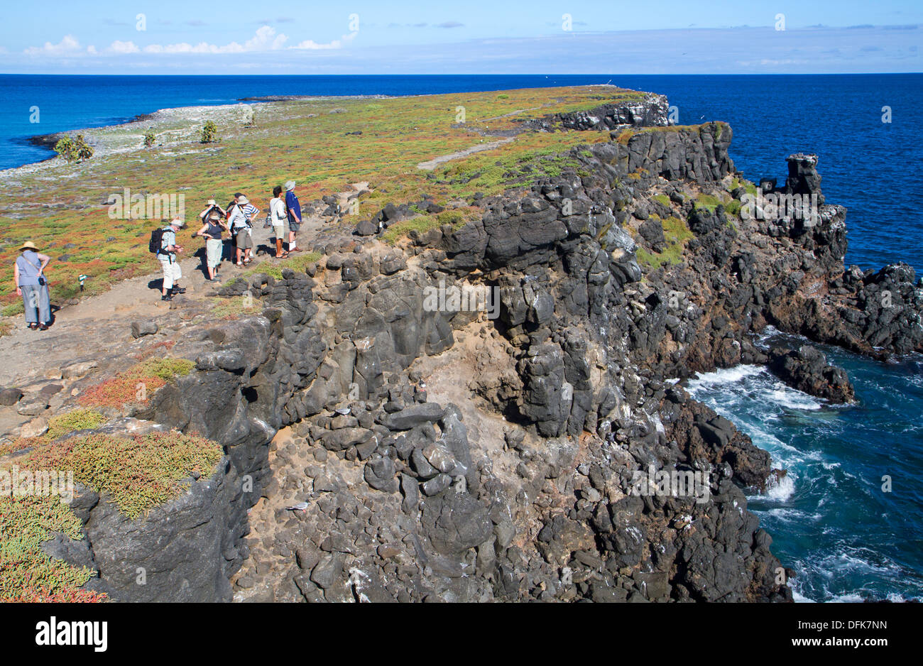 Plaza Sur Island Stock Photos & Plaza Sur Island Stock Images - Alamy