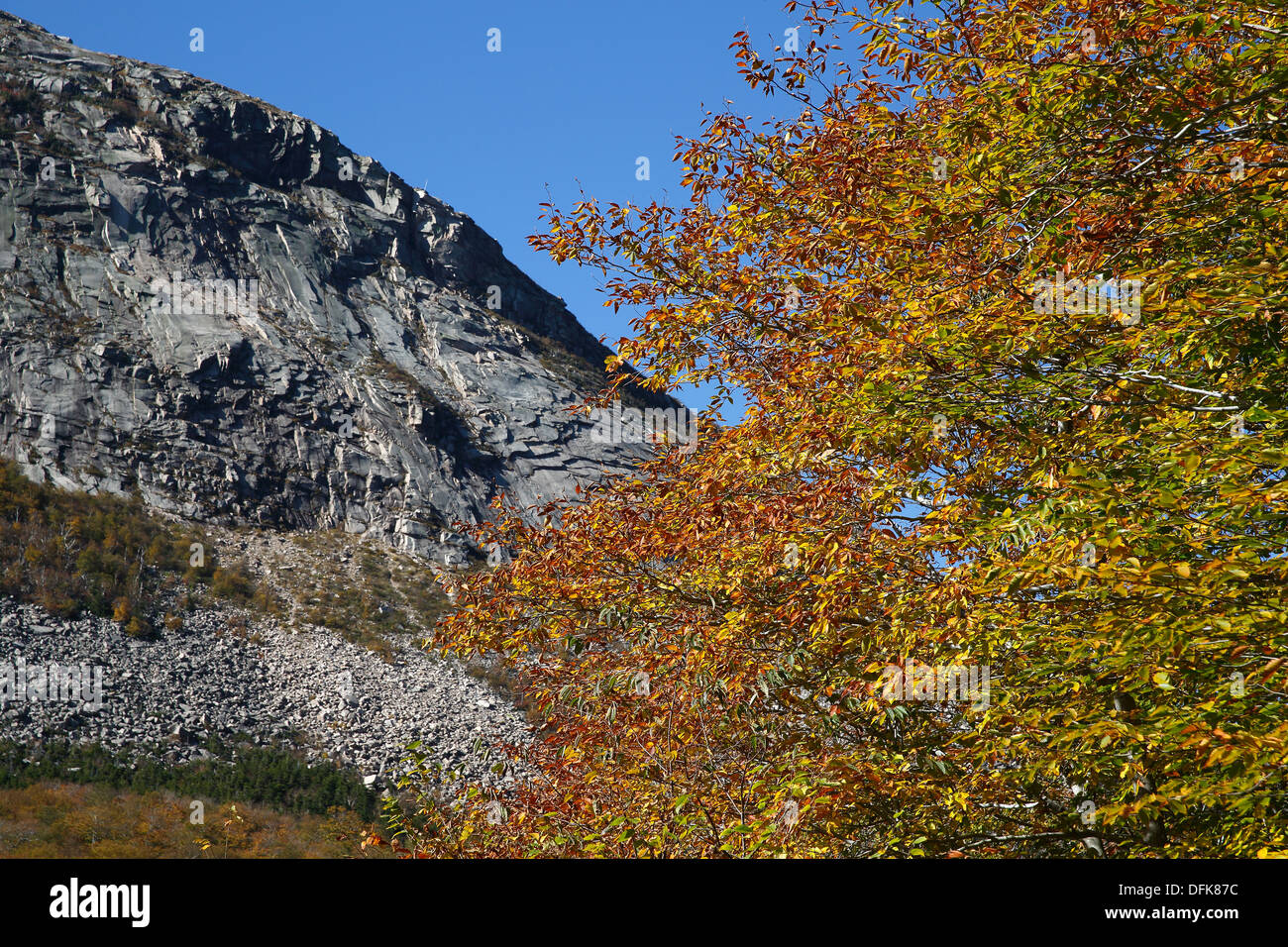Fall foliage and Cannon Cliff, Franconia Notch, New Hampshire, USA ...
