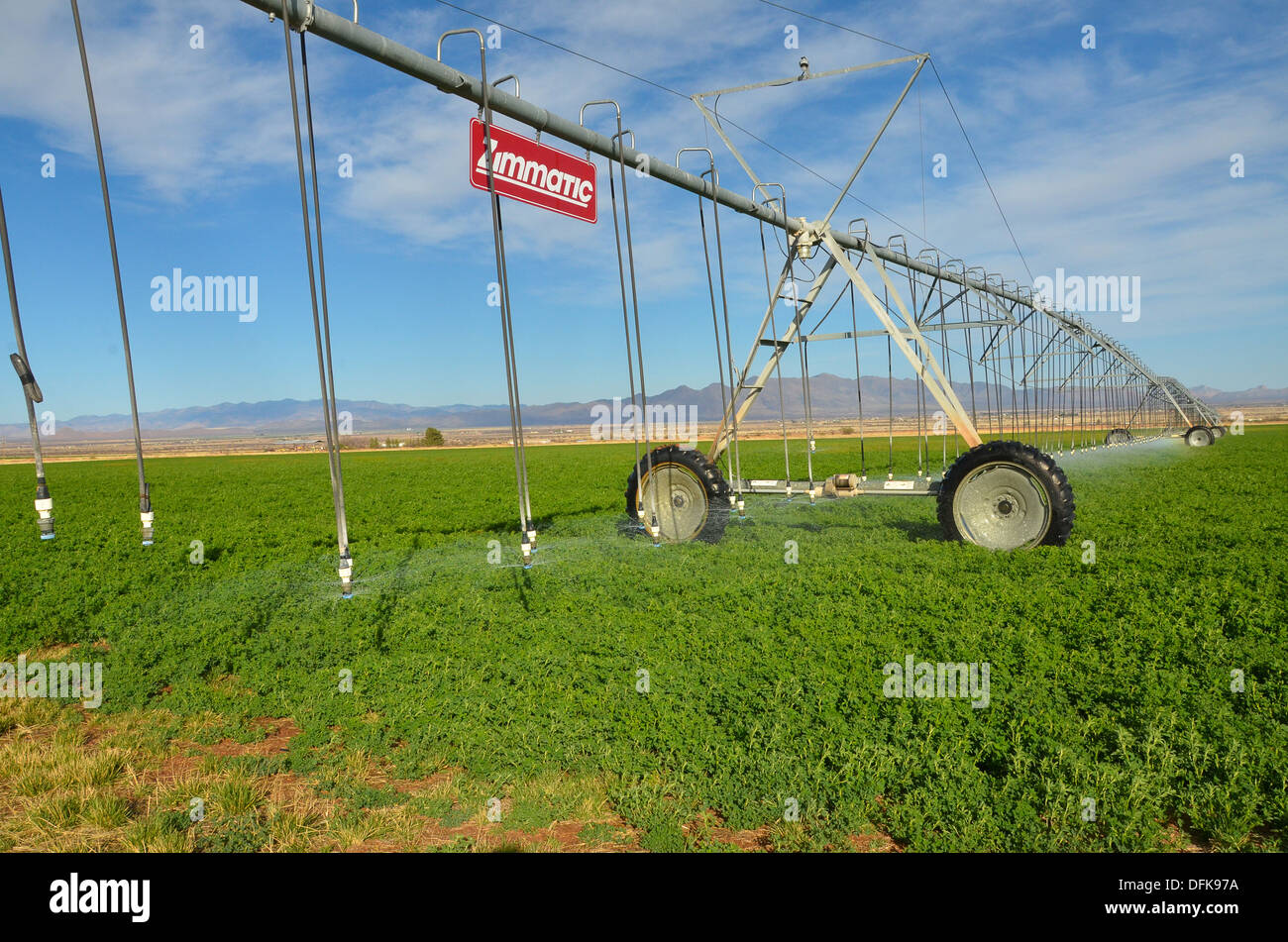 Arizona alfalfa irrigation hi-res stock photography and images - Alamy