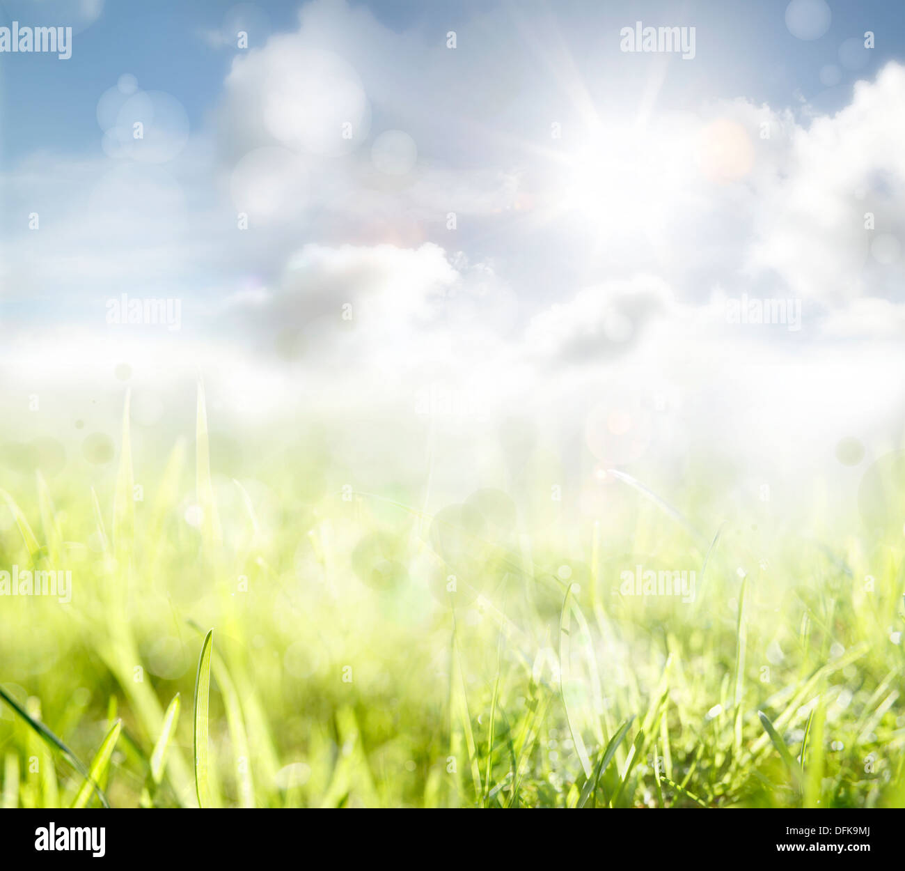 Grass and sky spring background Stock Photo - Alamy