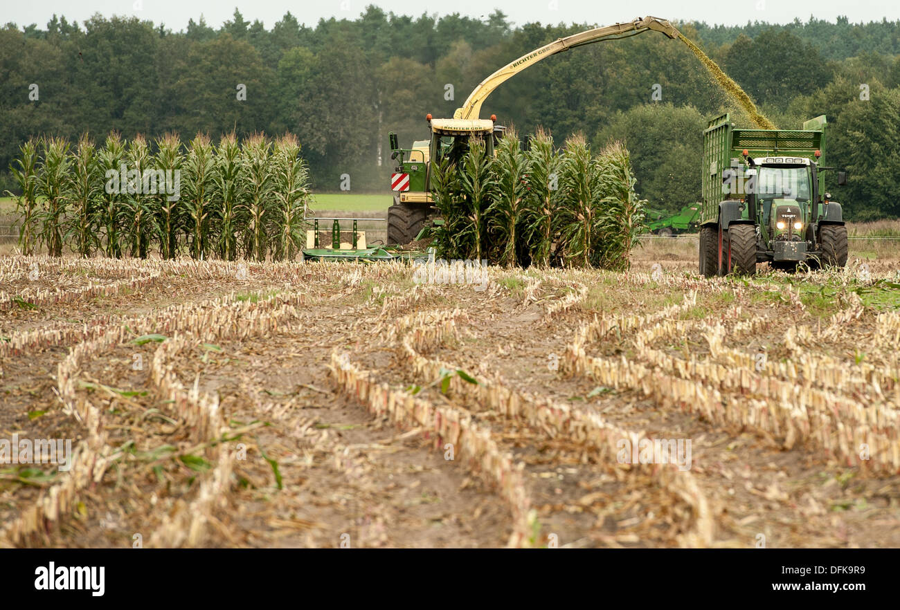 Corn silage chopper hi-res stock photography and images - Alamy