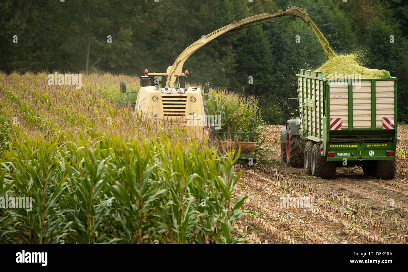 Corn silage biogas production hi-res stock photography and images - Alamy