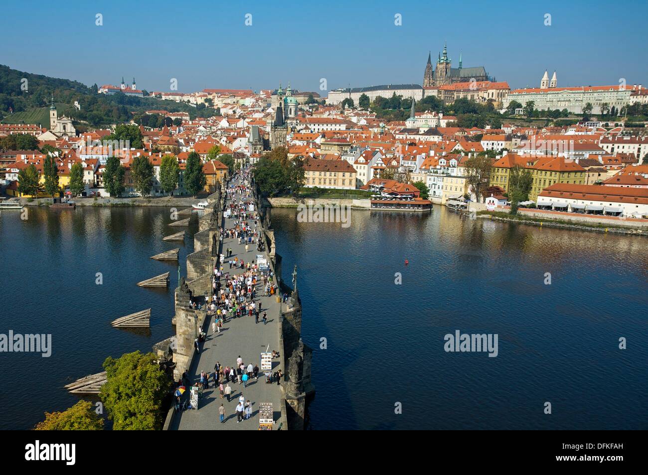 King charles nature hi-res stock photography and images - Alamy