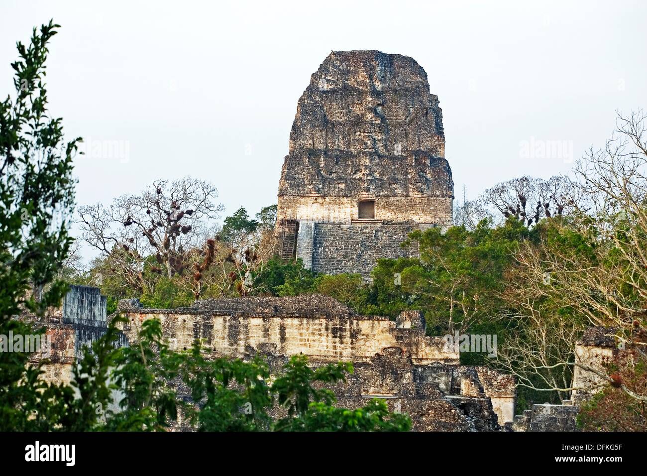 Mayan Art Tikal High Resolution Stock Photography and Images - Alamy
