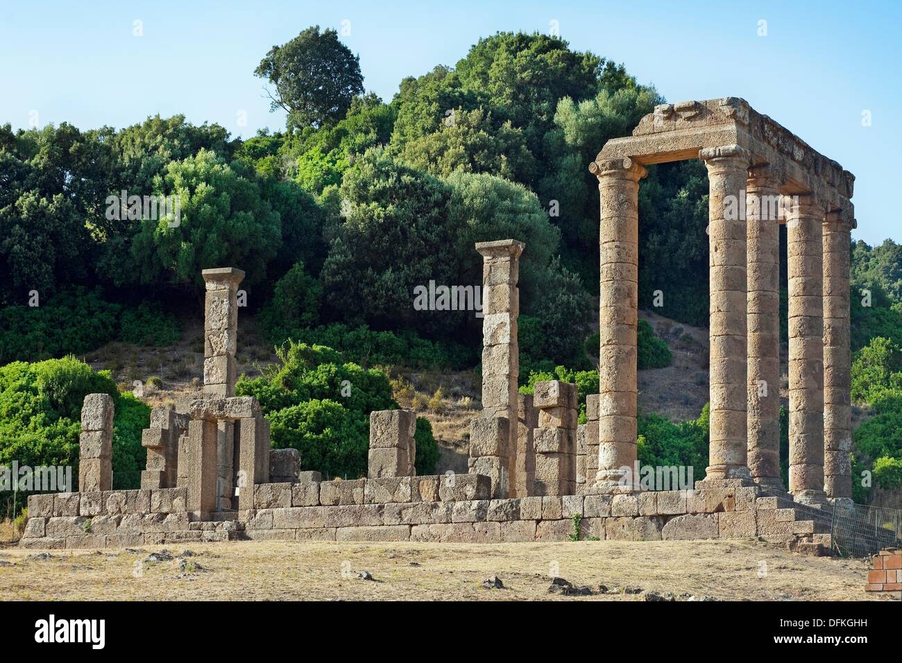 Sardus pater hi-res stock photography and images - Alamy