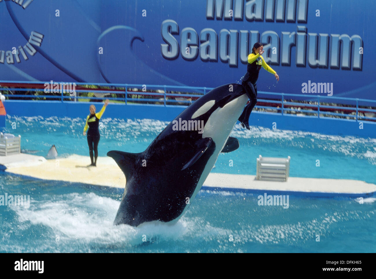 Miami seaquarium, florida hi-res stock photography and images - Alamy