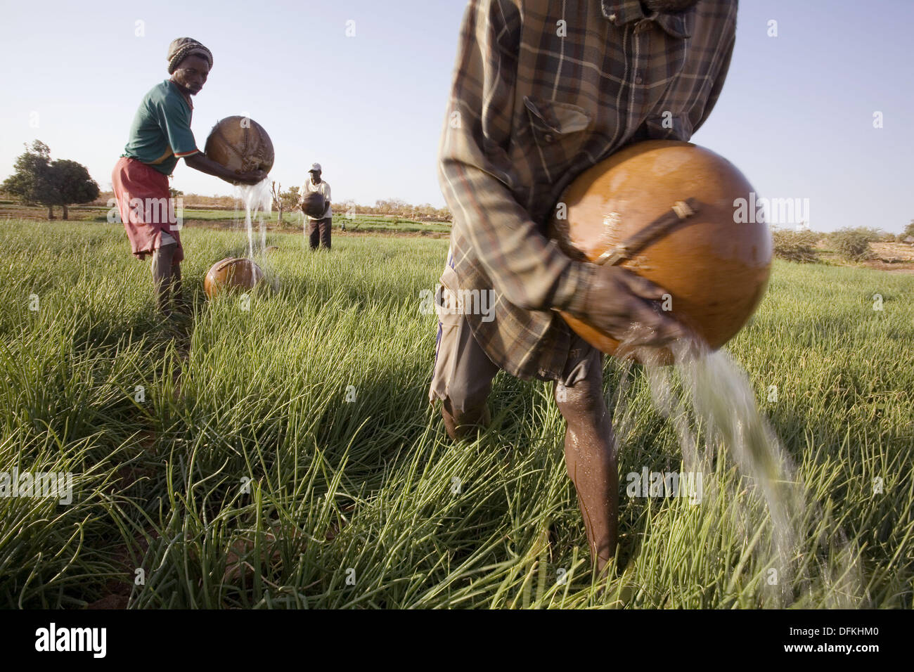 Agriculture water mali hi-res stock photography and images - Alamy