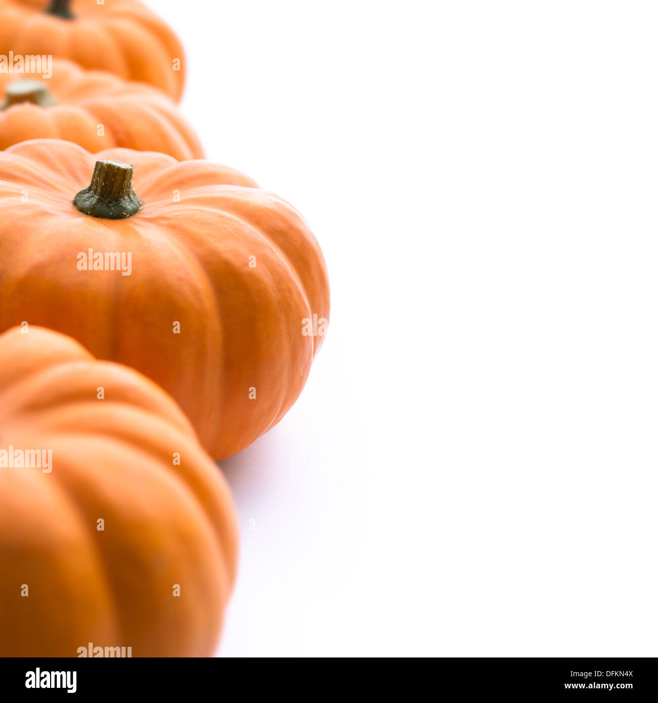 Backgrounds and textures: group of pumpkins on white background with ...