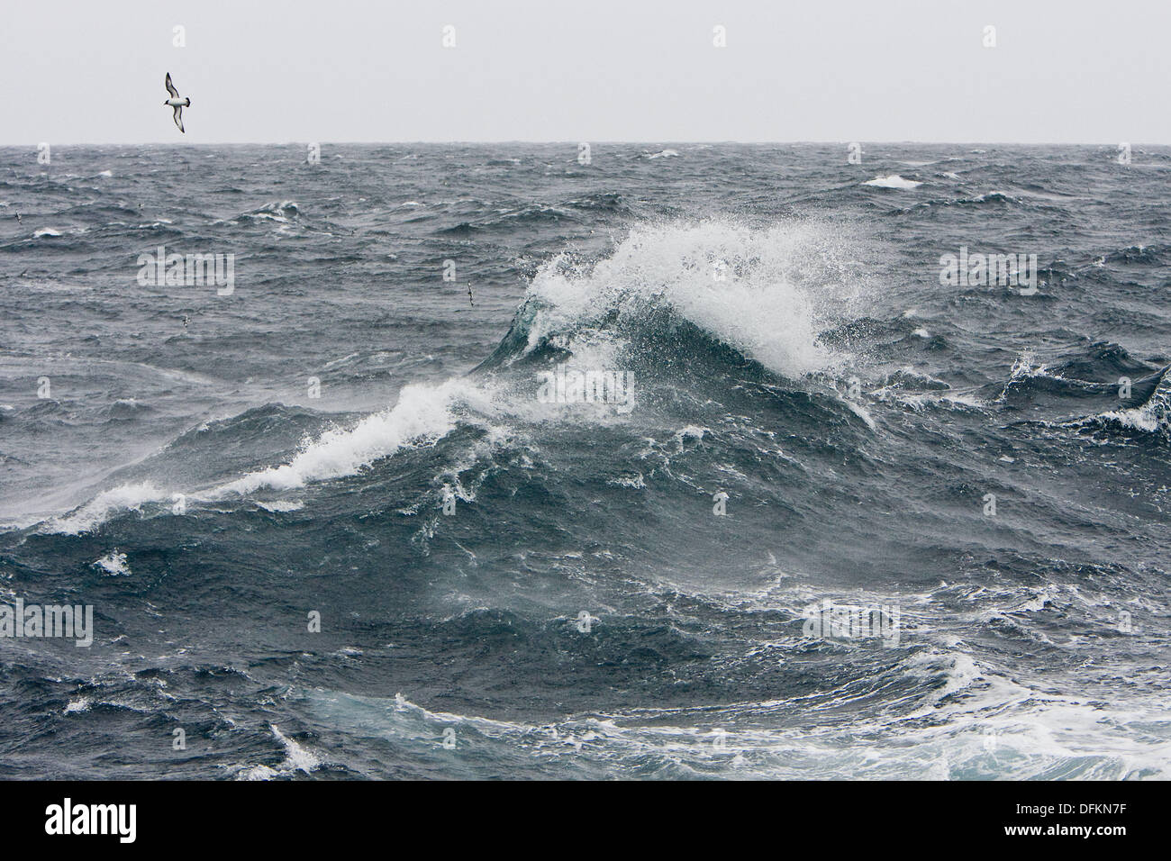 Drake passage storm hi-res stock photography and images - Alamy