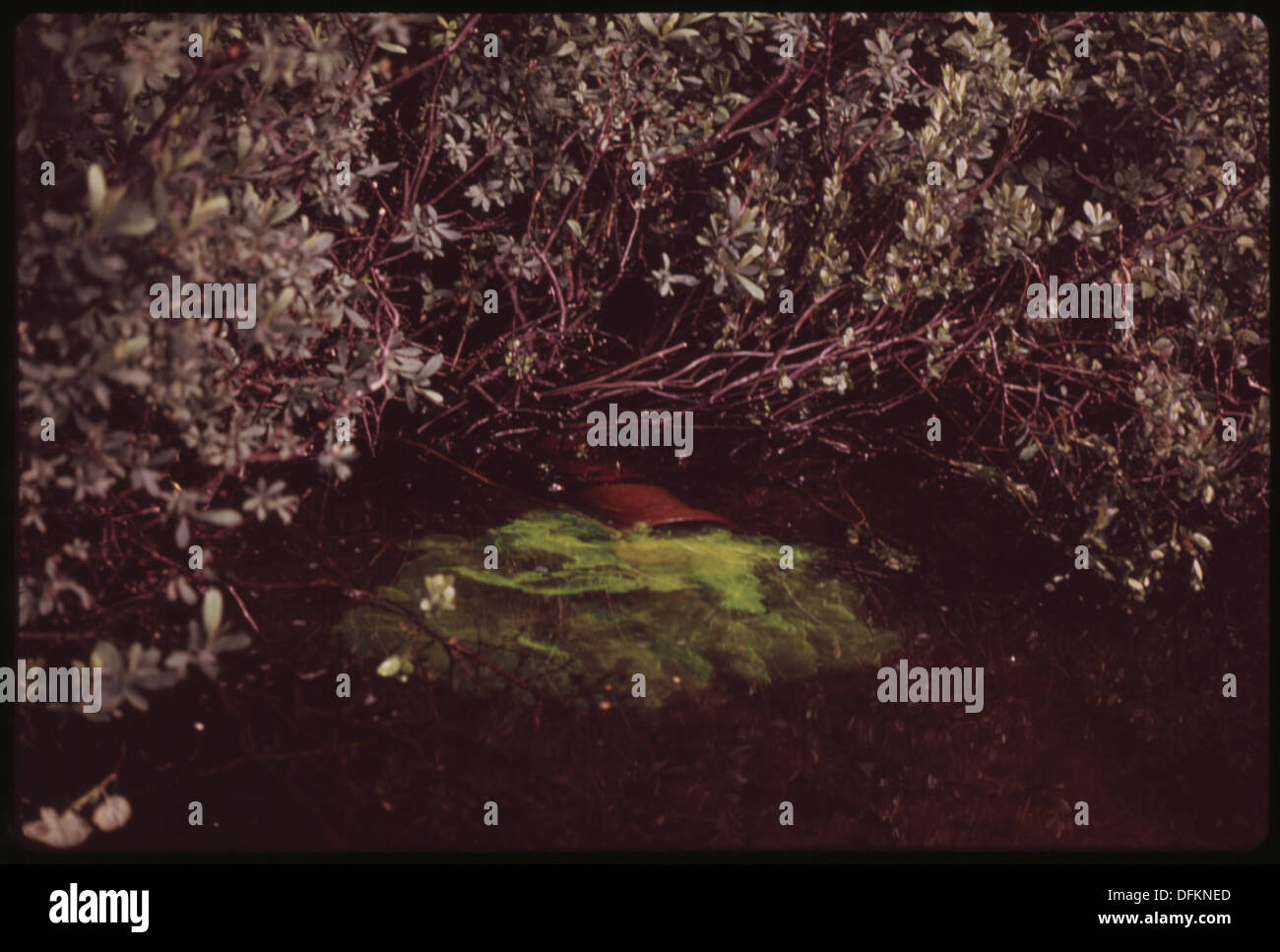 Septic system hi-res stock photography and images - Alamy