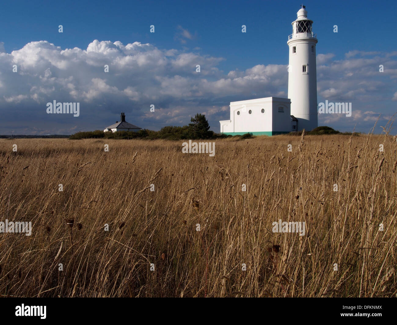 Hurst point lighthouse hi-res stock photography and images - Alamy