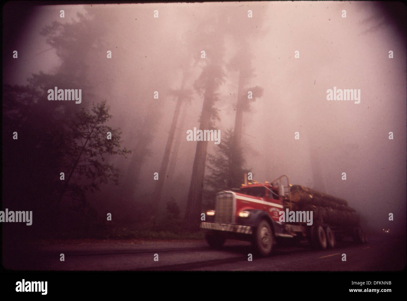 LOGS ARE TRANSPORTED TO MILLS ALONG HIGHWAY 101 545930 Stock Photo - Alamy