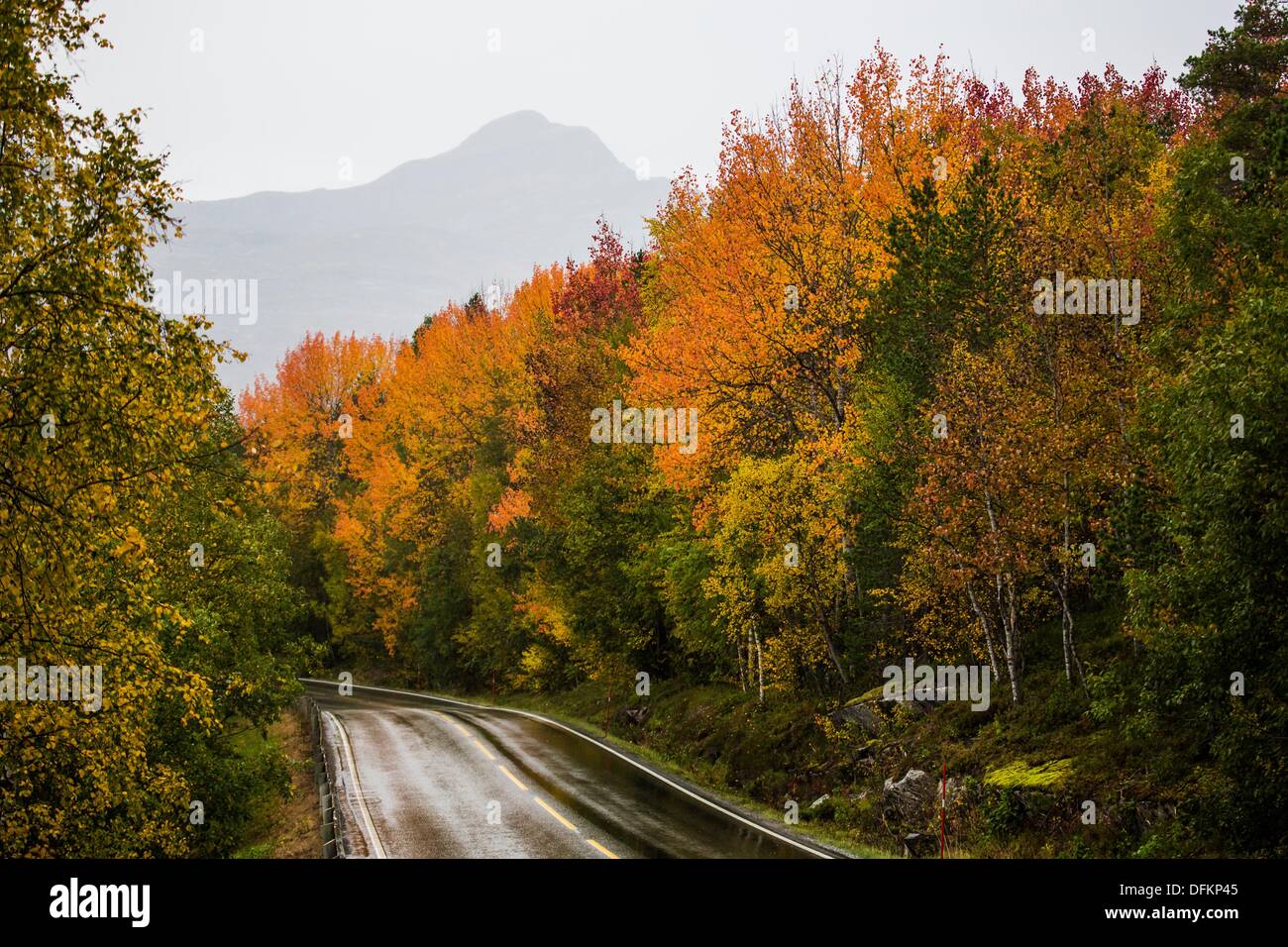 Fall colors nordland norway hi-res stock photography and images - Alamy
