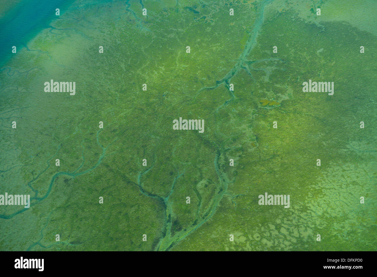 Tidal lagoon hi-res stock photography and images - Alamy