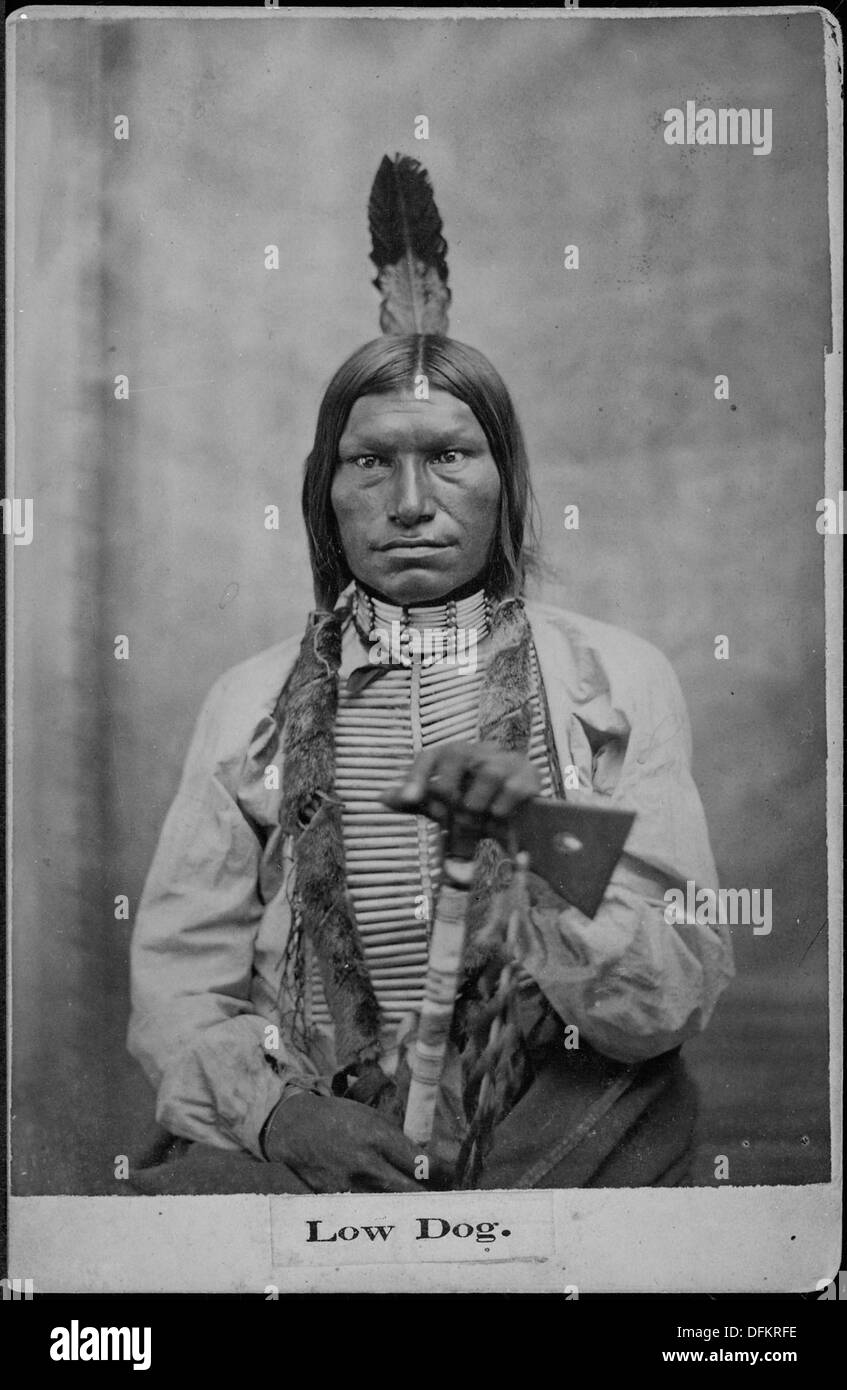 A historical image of Low Dog, an Indigenous individual captured in the ...