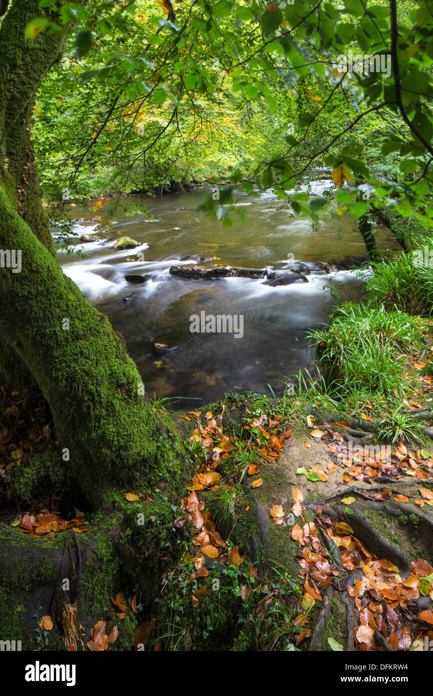 River Barle near Tarr Steps in Autumn, Exmoor National Park, Somerset ...