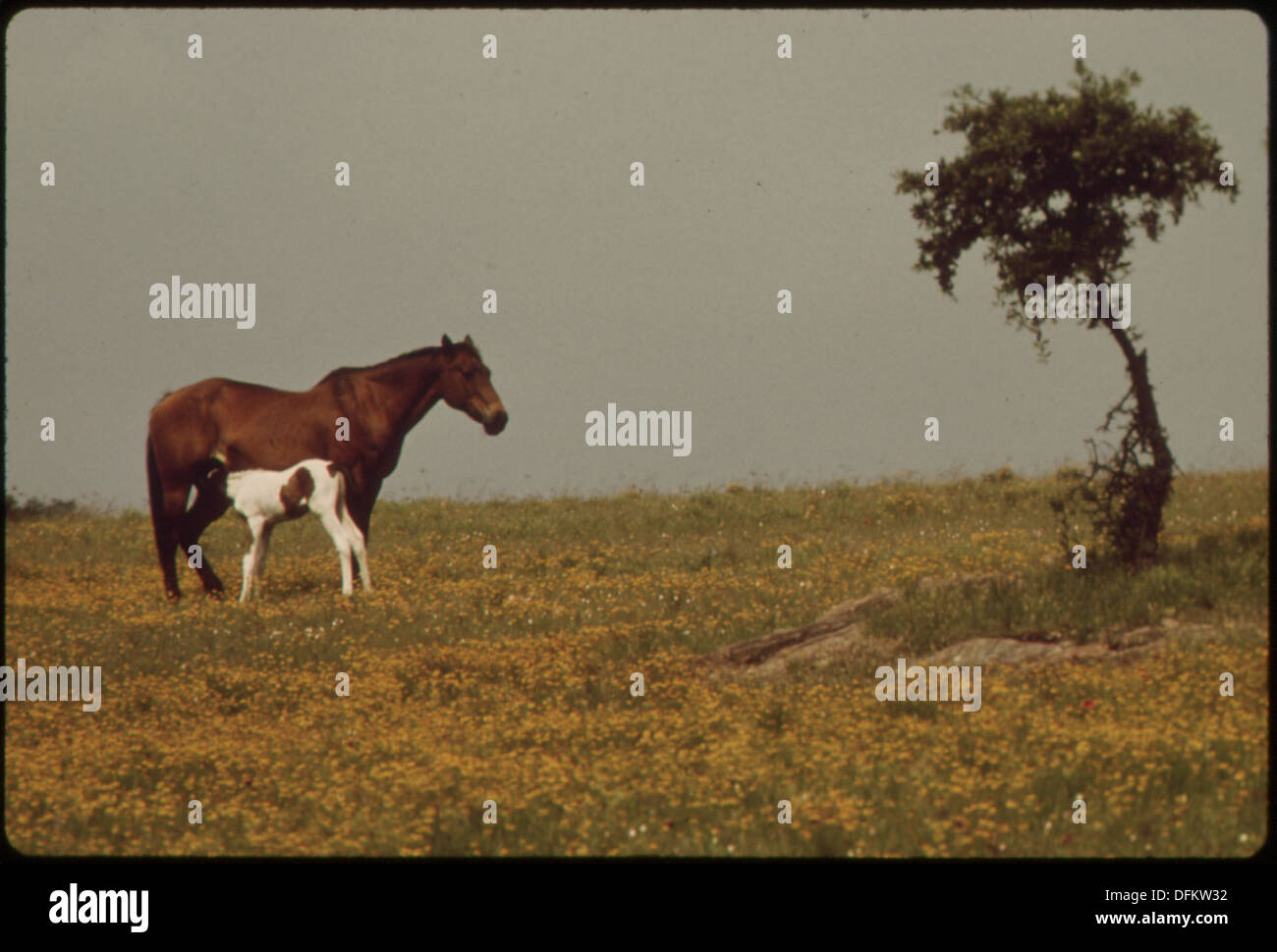 Nursing archives hi-res stock photography and images - Alamy