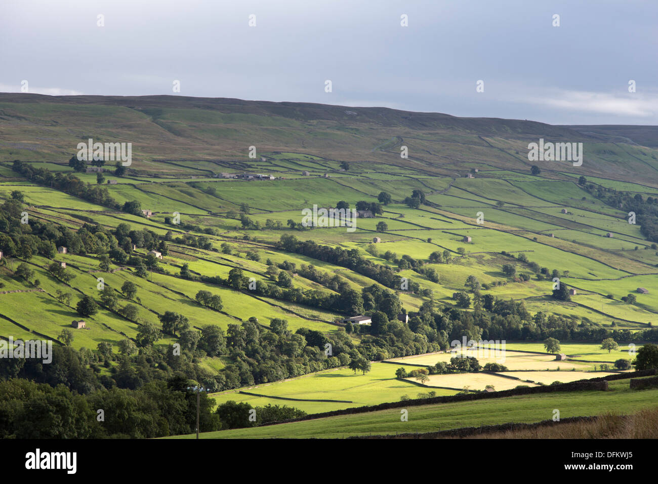 Upper Swaledale near Muker in afternoon light, from the Butter Tubs ...