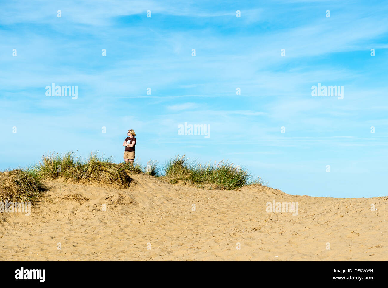 Sand Couch Grass High Resolution Stock Photography and Images - Alamy