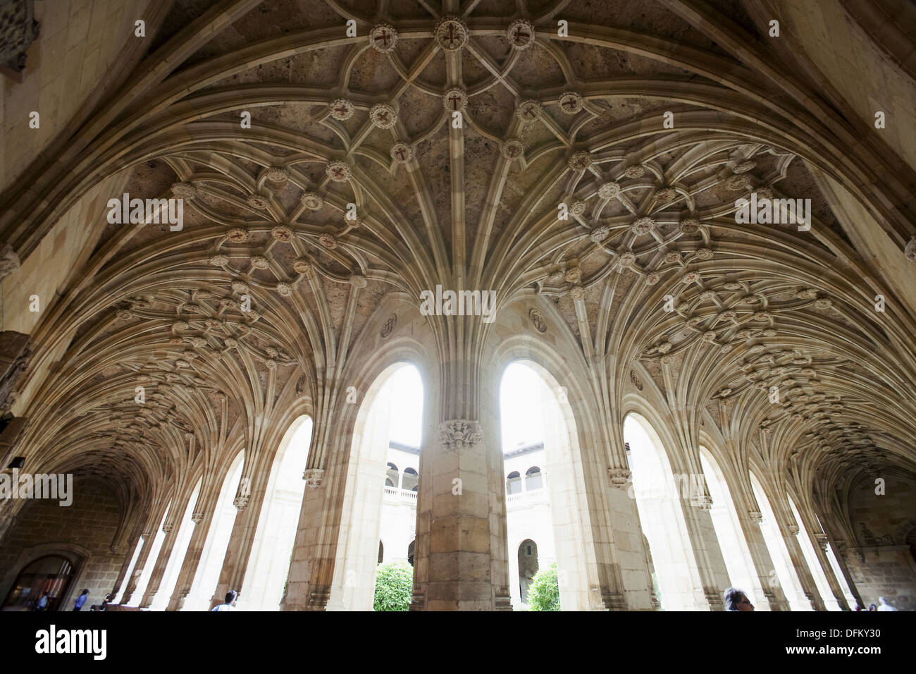 Monastery hospital of san marcos hi-res stock photography and images ...
