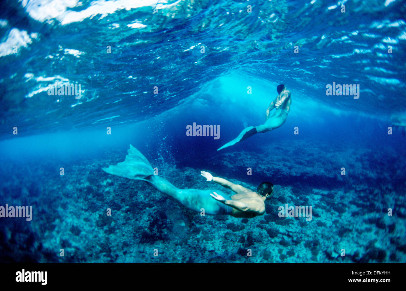 Male mermaid hi-res stock photography and images - Alamy