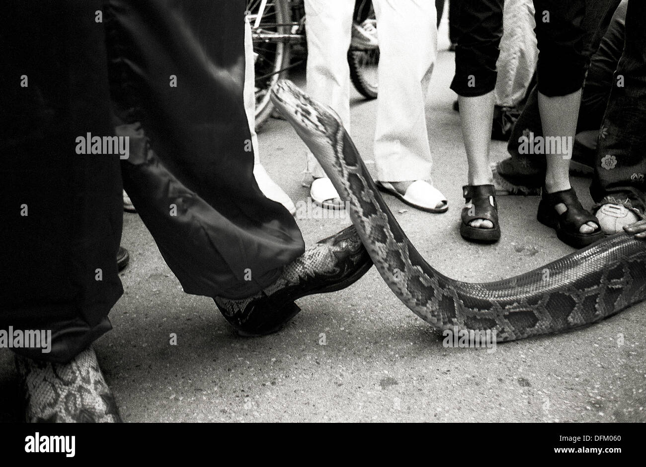 Snake crawling foot hi-res stock photography and images - Alamy