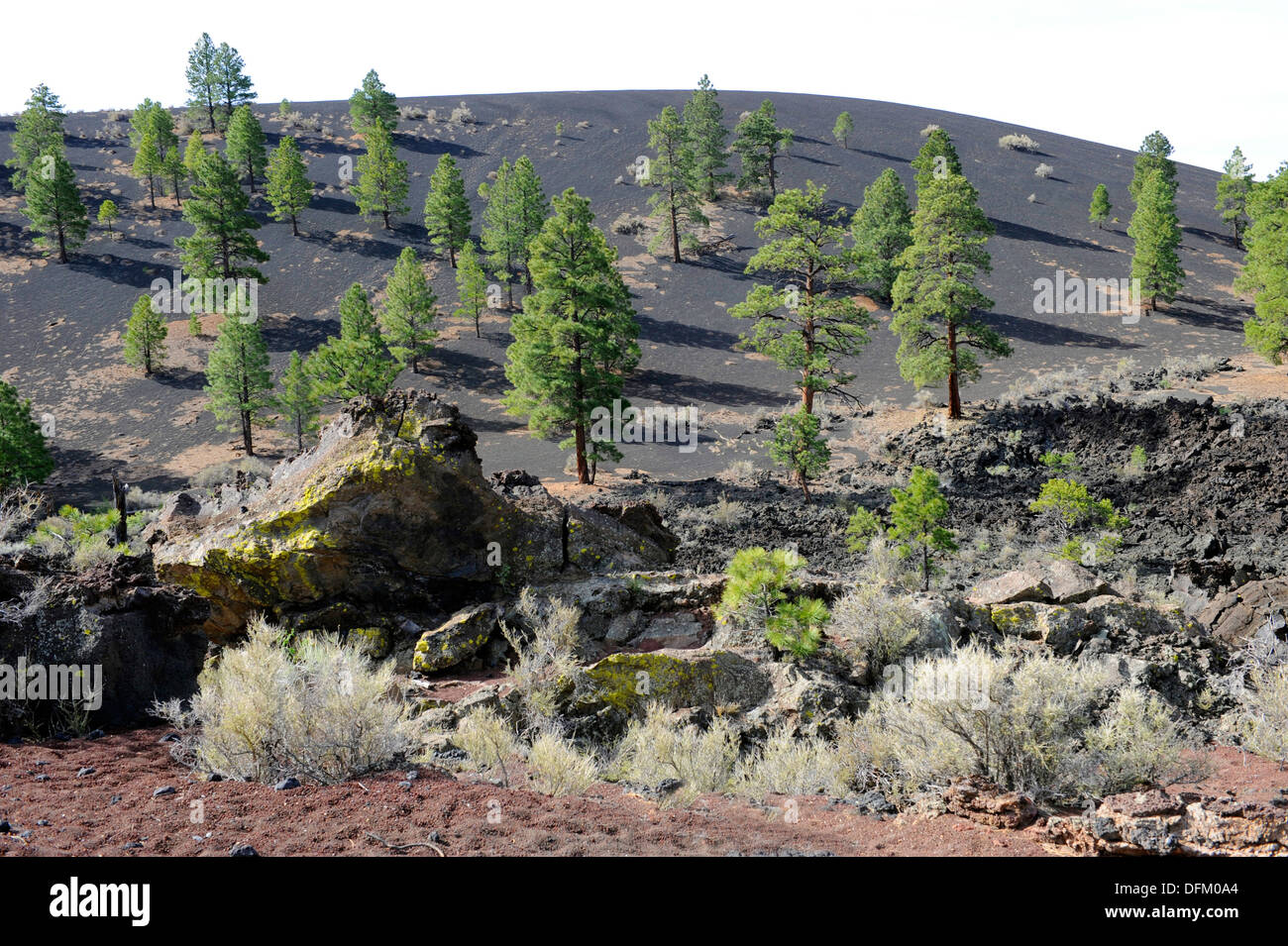 Sunset Crater Volcano National Monument Flagstaff Arizona Stock Photo ...