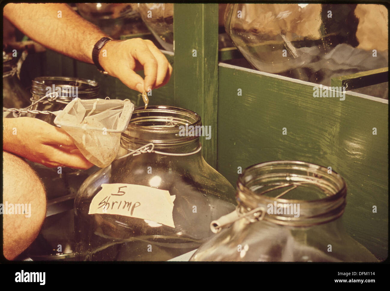 A biologist in a mobile laboratory at the Southeast Water Laboratory in ...