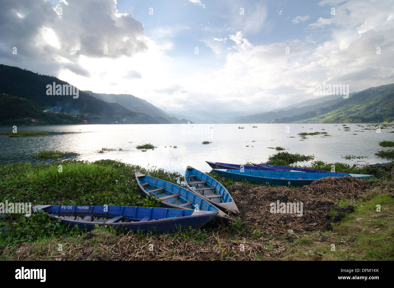 Pokhara lake hi-res stock photography and images - Alamy
