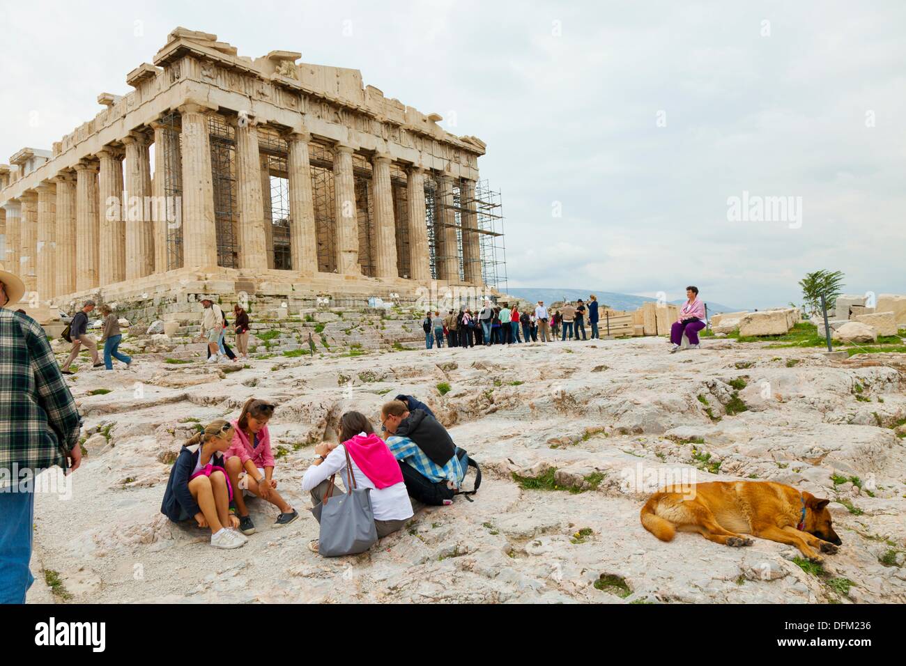 Parthenon dog hi-res stock photography and images - Alamy