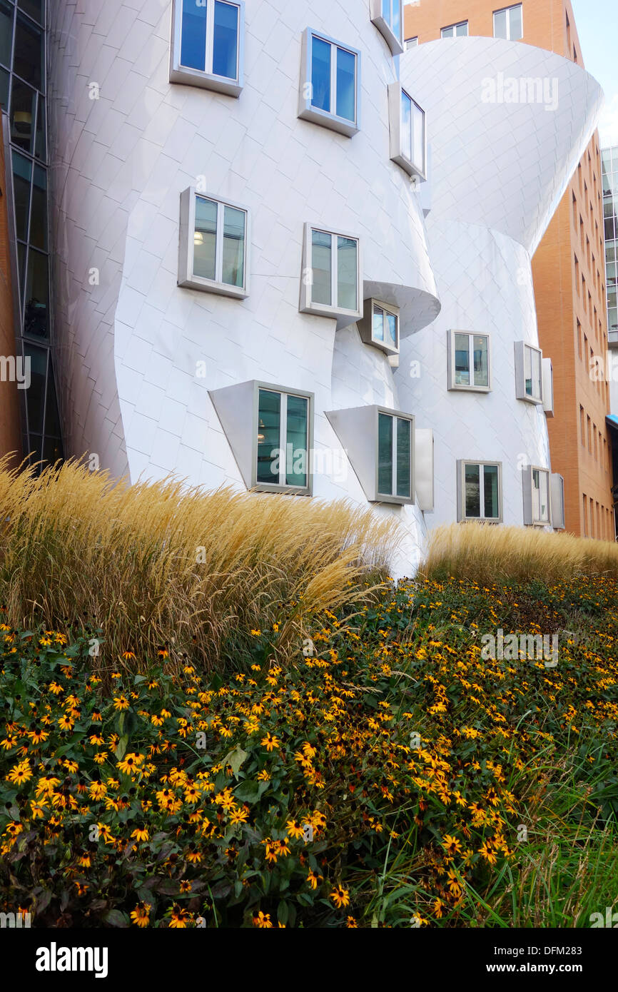 Frank gehry boston hi-res stock photography and images - Alamy