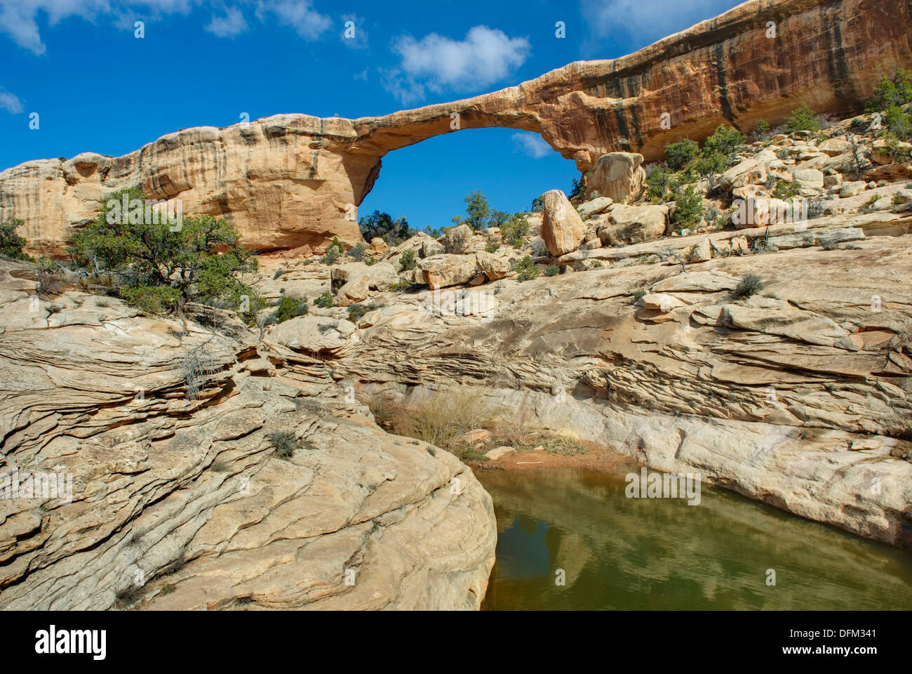 Natural bridges national monument utah hi-res stock photography and ...